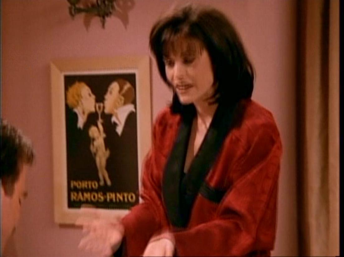 2x23 - The One with the Chicken Pox - Friends S02E23 Cap 131 ...